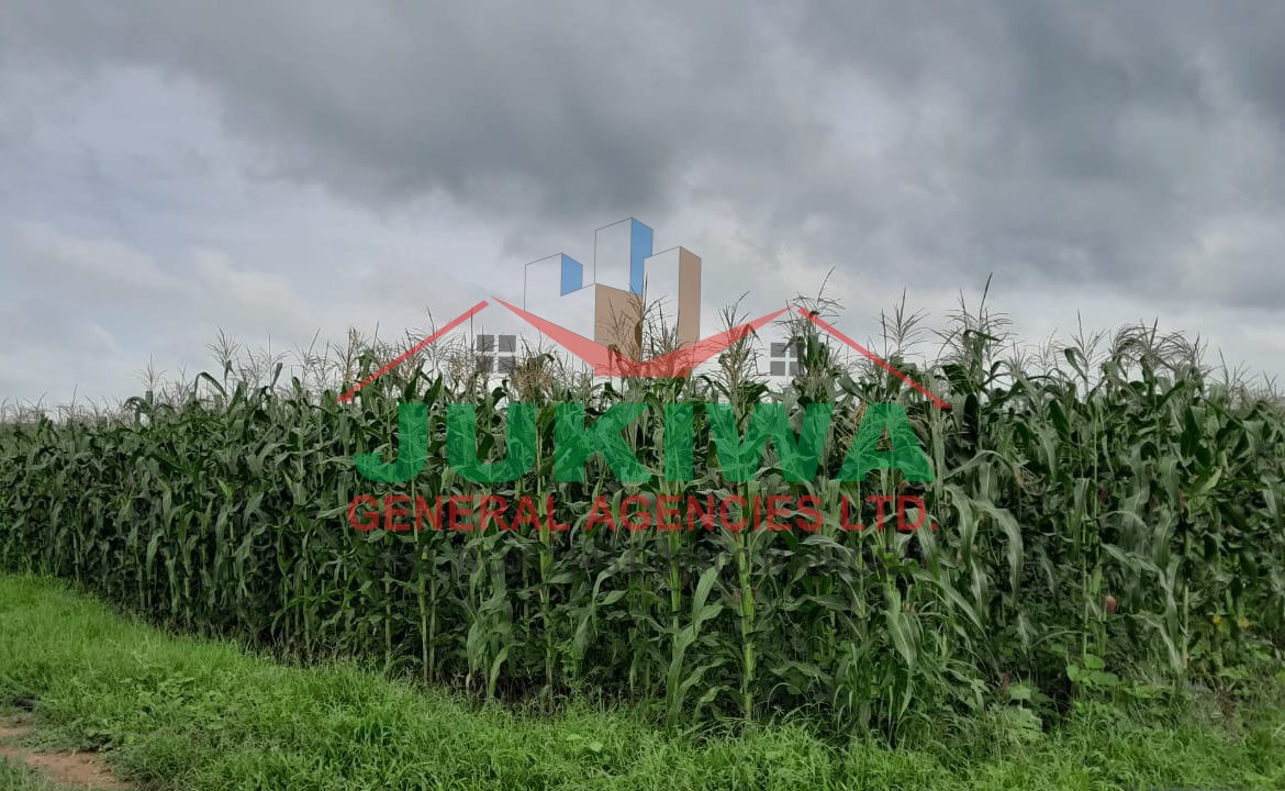 10 acres of Land for sale in Nyahururu, Laikipia Central in Laikipia ...